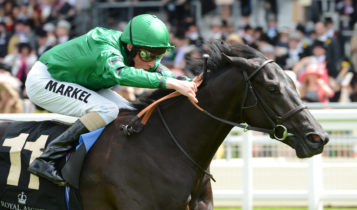 Front Runner Focus, finding back-to-lay horses